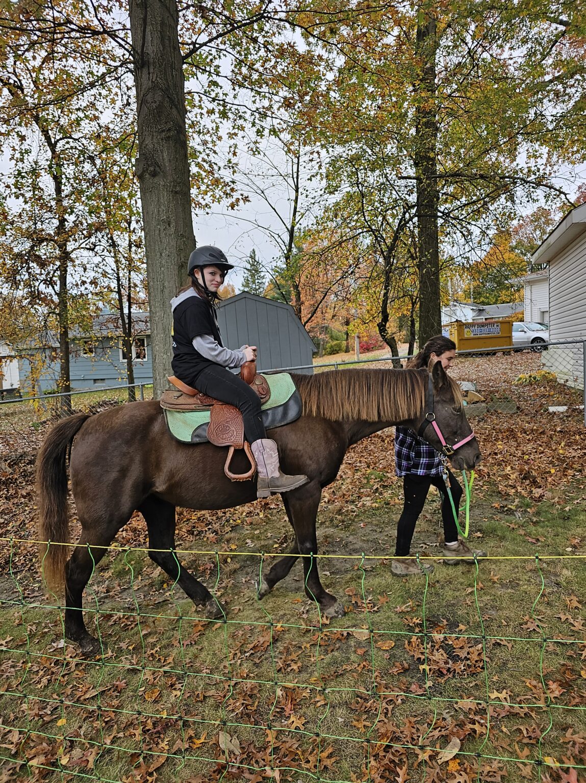 Our Animals - Flourish Green Care Therapy Farm
